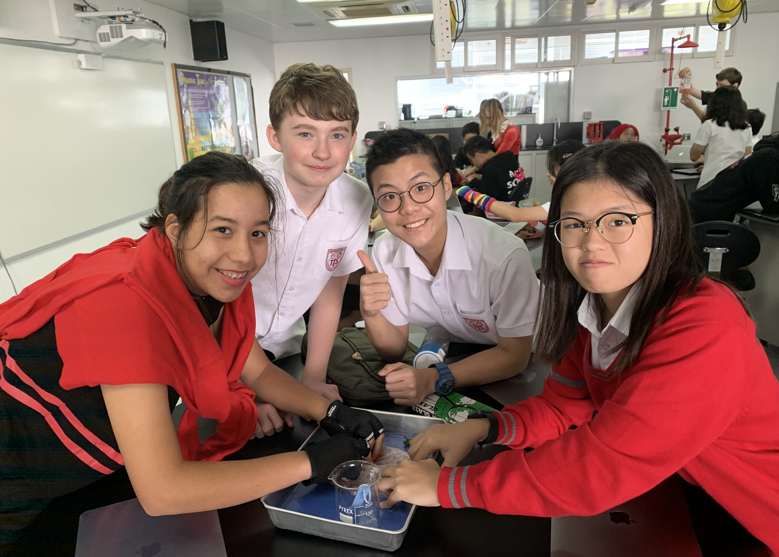 TIS Middle School: A Broad and Balanced Curriculum — The International ...